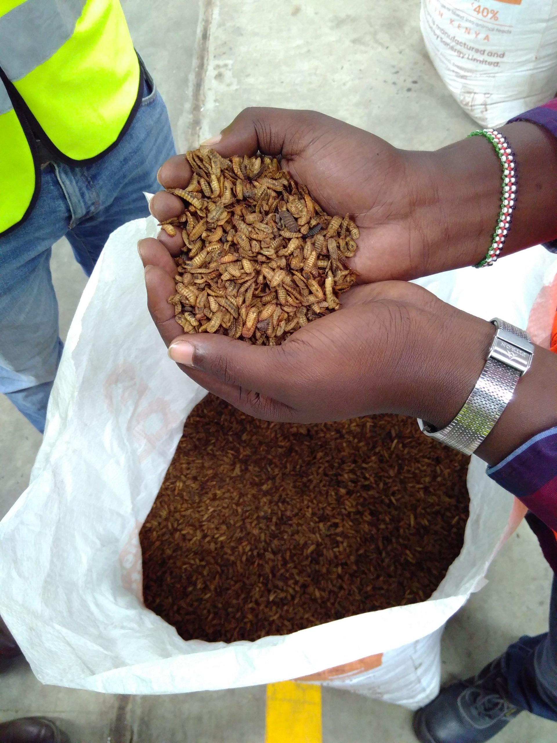 Sanergy’s sustainable path to profitability - Aqua for All