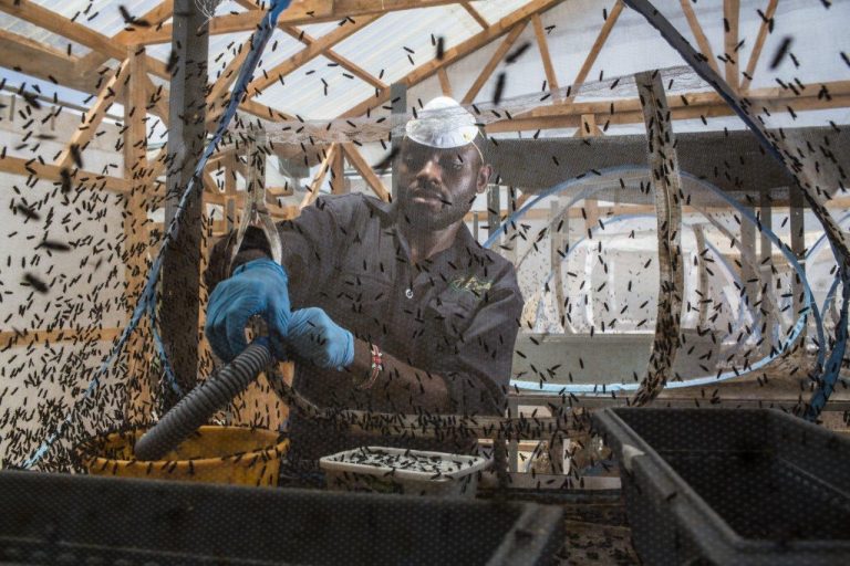 Sanergy’s sustainable path to profitability - Aqua for All