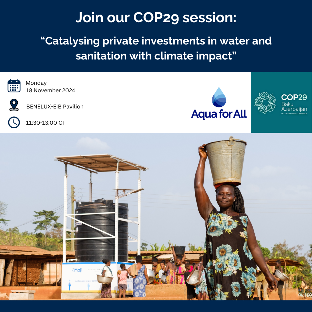 COP 29: Join the conversation on “Catalysing private investments in ...