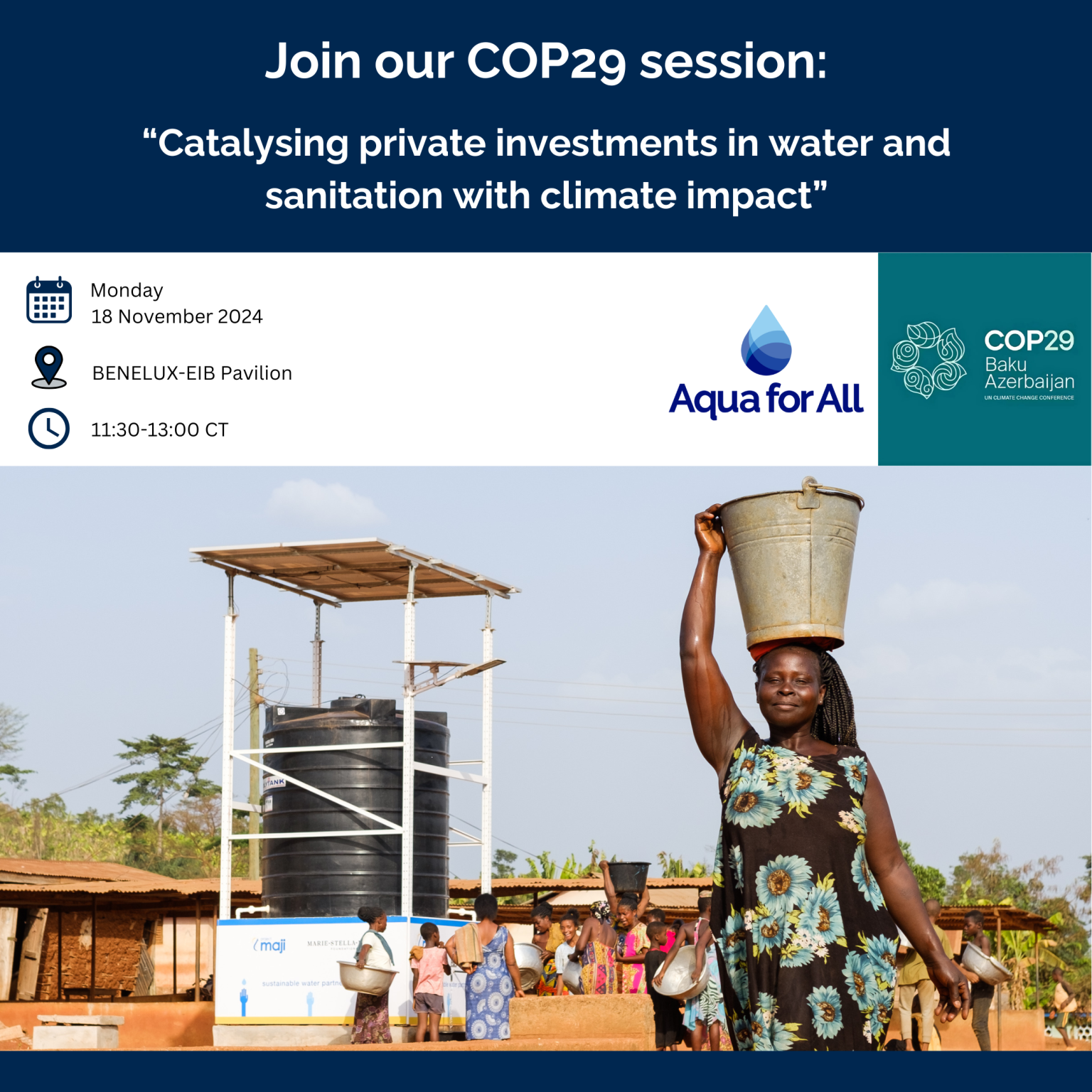 COP 29: Join the conversation on “Catalysing private investments in ...